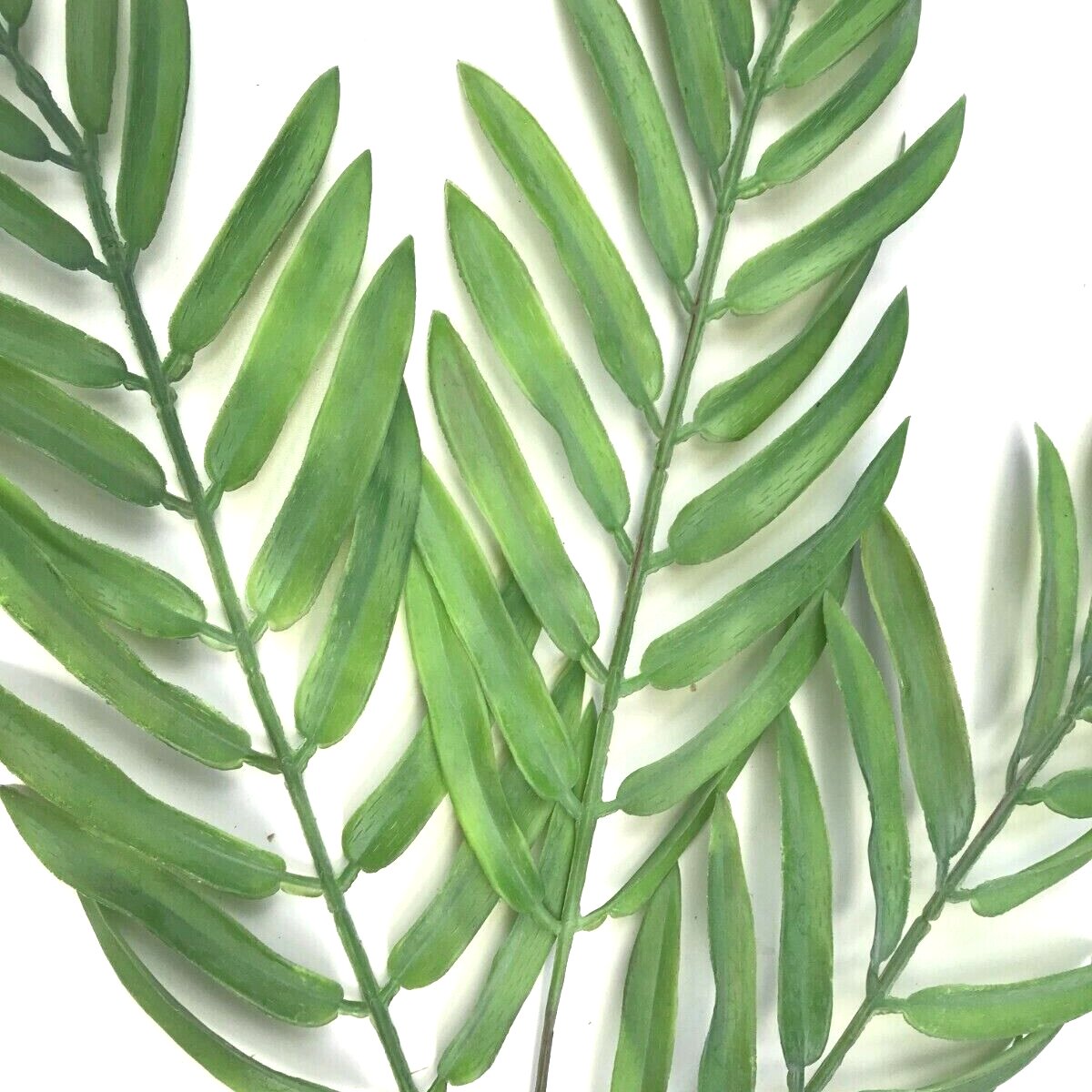 Artificial Fern Leaf Spray | Faux Fern Leaves – Blue Frog Toys