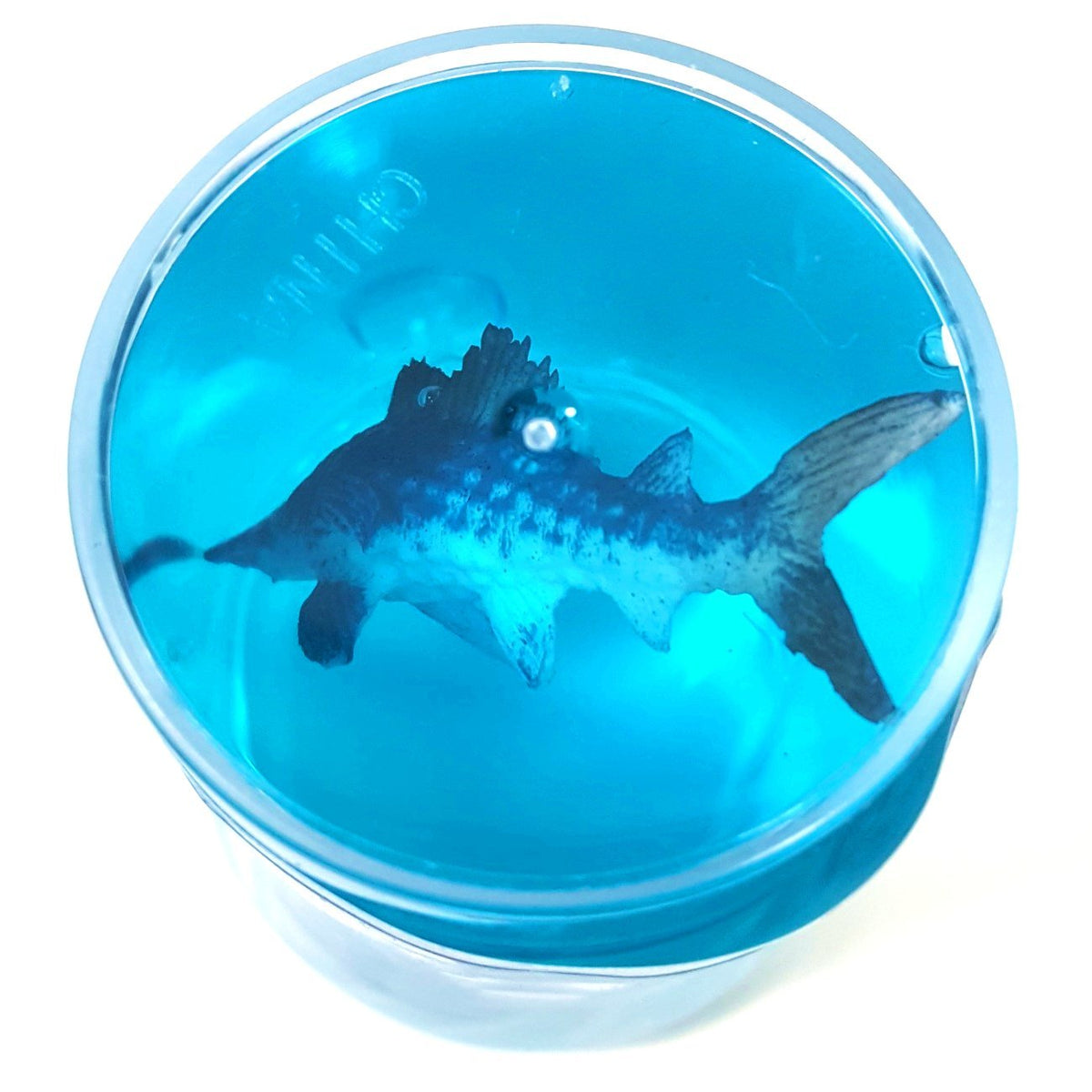 Shark Slime Toy | CE Tested and Approved Product | Blue Frog Toys