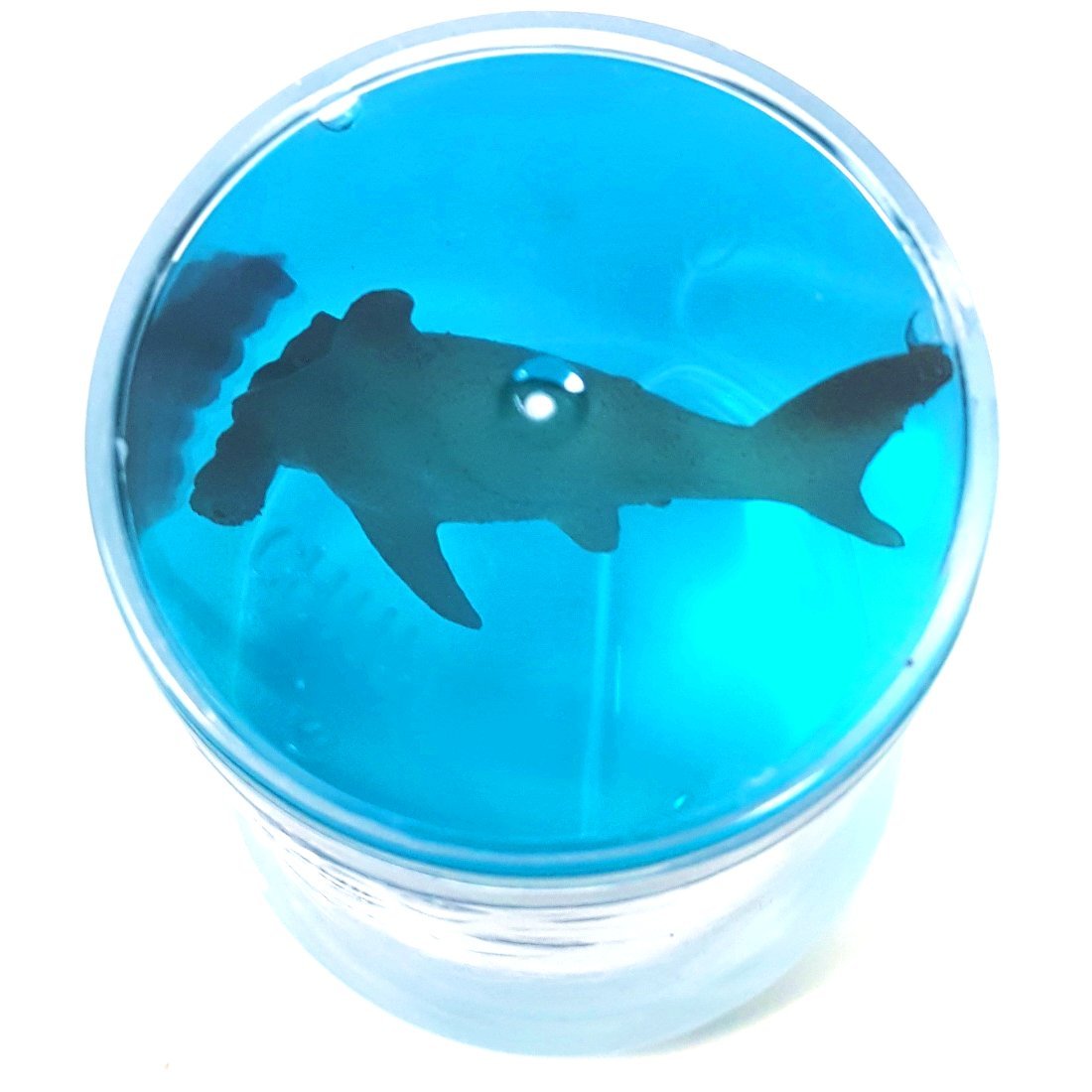 Shark Slime Toy CE Tested and Approved Product Blue Frog Toys